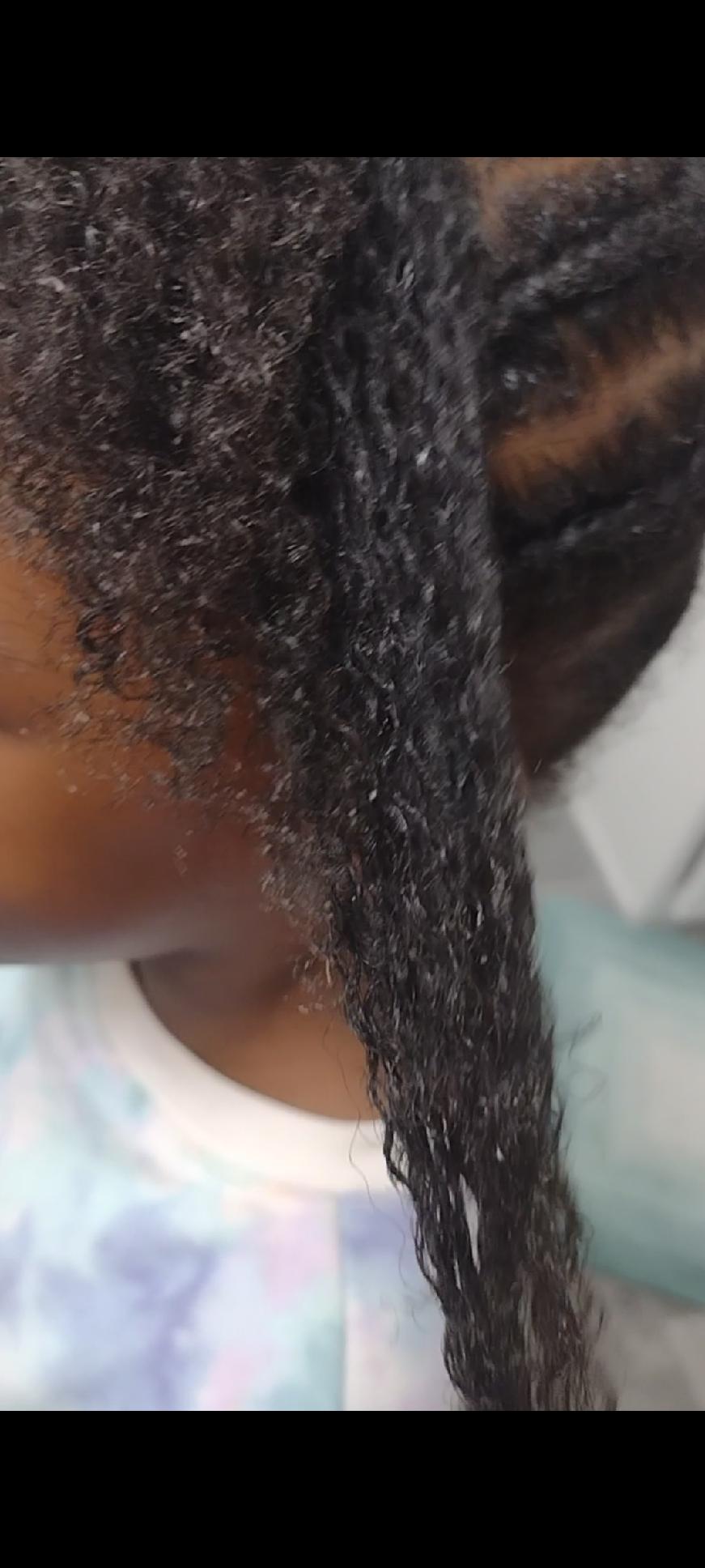 Everyday Hair Health – Norborbeauty